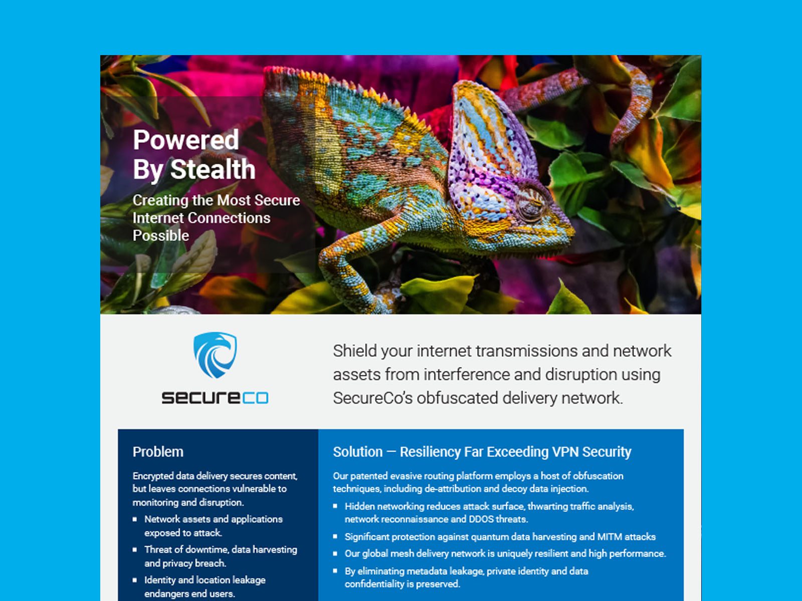 Datasheets & Briefs Archives - SecureCo